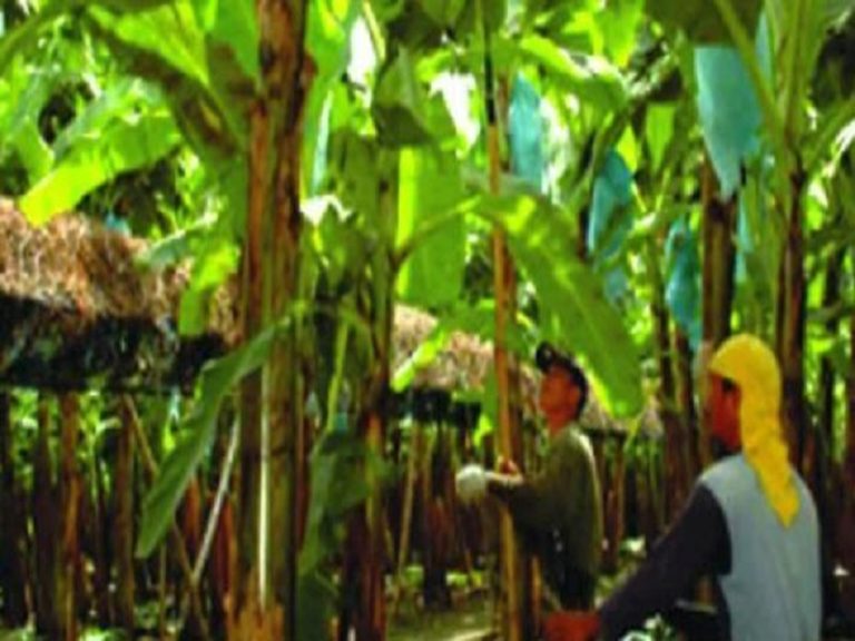 BuCor, kumita ng 142-M sa Tadeco deal | DZIQ Radyo Inquirer 990AM