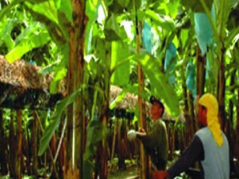 BuCor, kumita ng 142-M sa Tadeco deal | DZIQ Radyo Inquirer 990AM