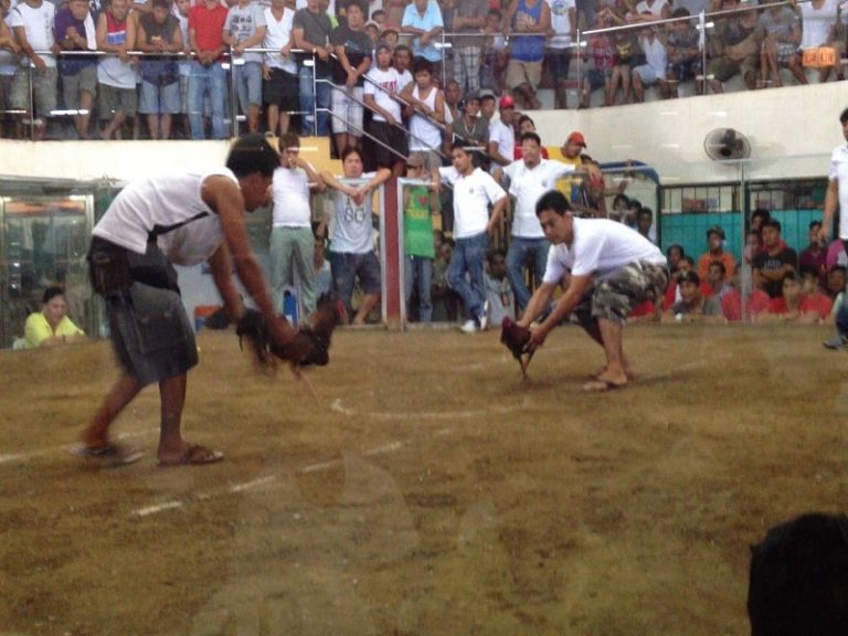 House panel, DOF nag-uusap na sa pagbuwis sa e-sabong, online games ...