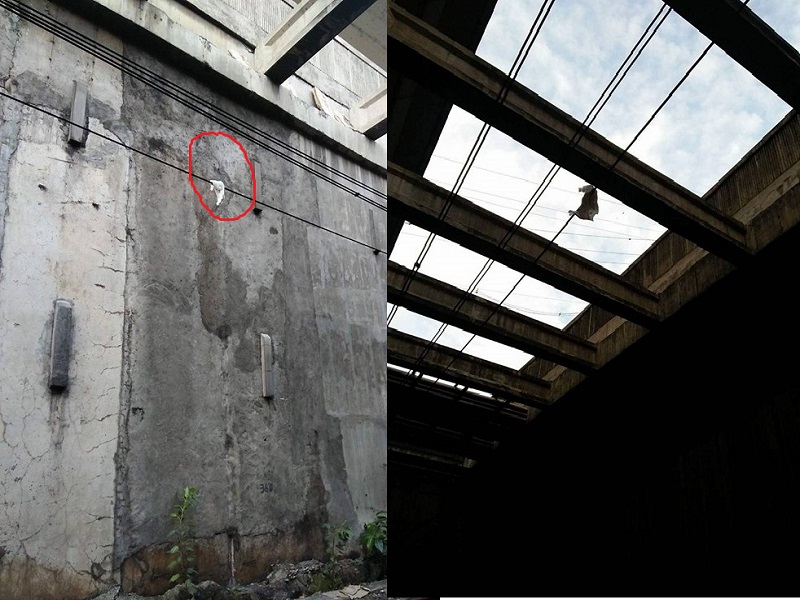 26,000 pasahero ng MRT ang naapektuhan ng diaper na sumabit sa linya ng ...