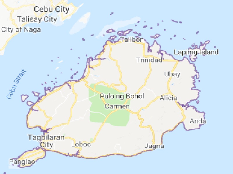 2 katao, patay matapos mabagsakan ng puno sa Bohol | DZIQ Radyo ... 2 katao, patay matapos mabagsakan ng puno sa Bohol | DZIQ Radyo ...