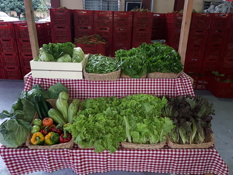 Gulay na mas mura ng 50% kaysa sa mga palengke, mabibili sa Vegetable ...