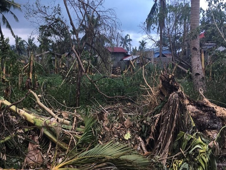 Karamihan sa mga biktima ng Bagyong Rosita, nakabalik na sa sariling ...
