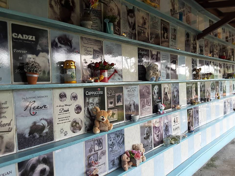 WATCH: Mga yumaong alagang hayop, inalala rin ngayong Undas | DZIQ ...