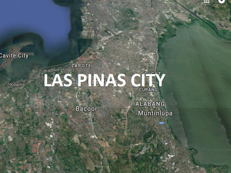 Office of the City Engineer ng Las Pinas, digital na | DZIQ Radyo ...