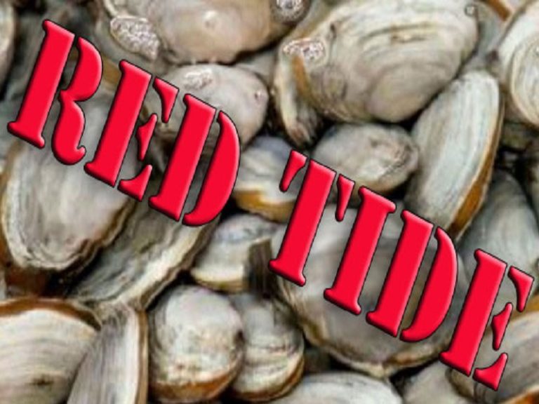 BFAR nag-isyu ng red tide warnings sa E.Visayas | DZIQ Radyo Inquirer 990AM