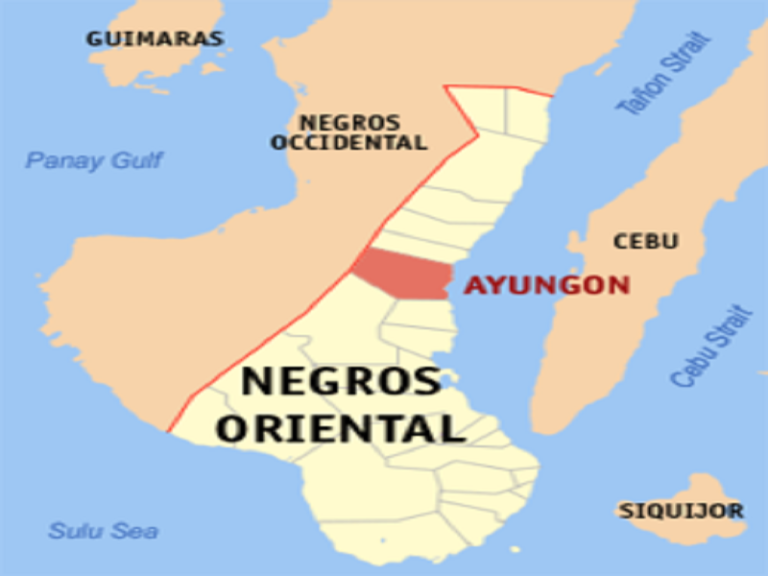 4 na pulis patay sa ambush ng NPA sa Negros Oriental | DZIQ Radyo ...