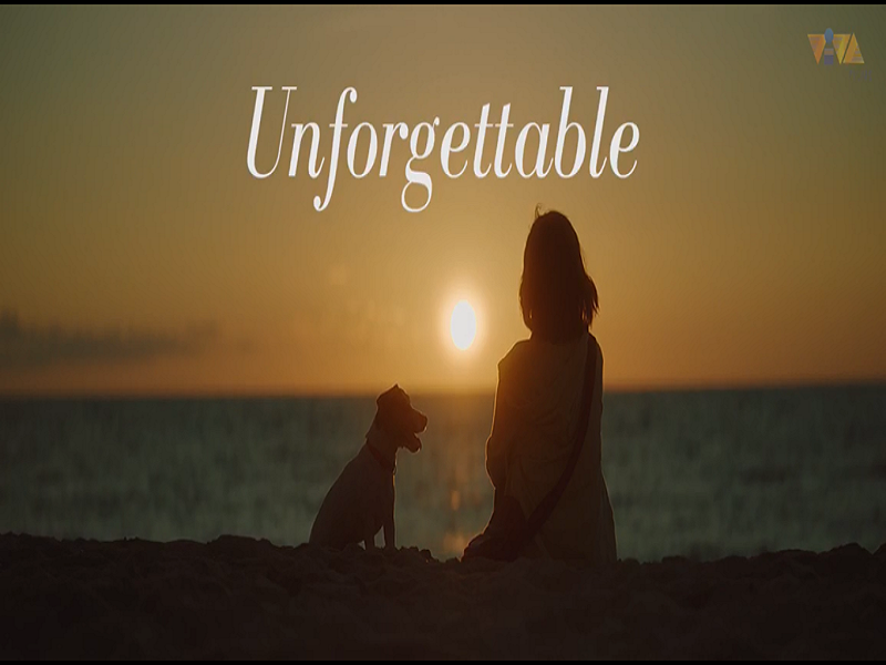 WATCH: Teaser ng dog movie ni Sarah G. na ‘Unforgettable’ inilabas na ...