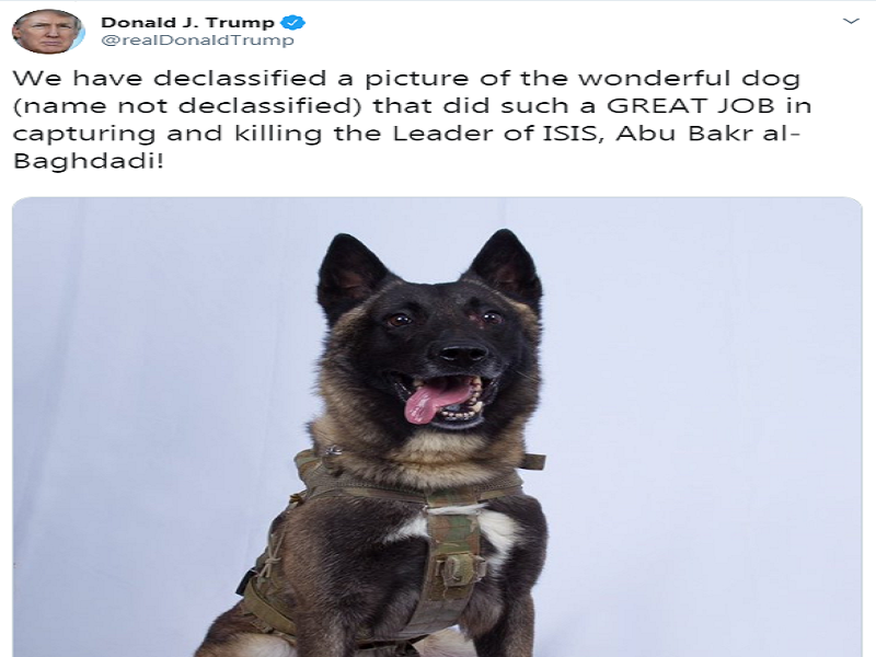 Hero dog na bahagi ng operasyon vs ISIS leader kinilala ni President ...