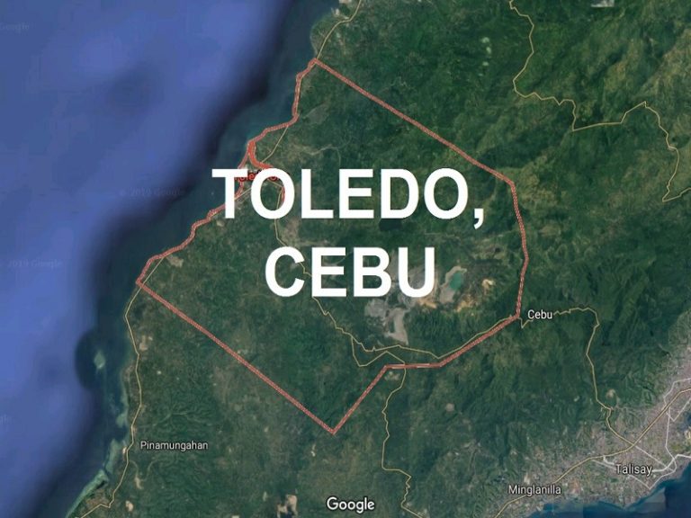 Dalawang barangay sa Toledo City, Cebu apektado ng fly infestation ...