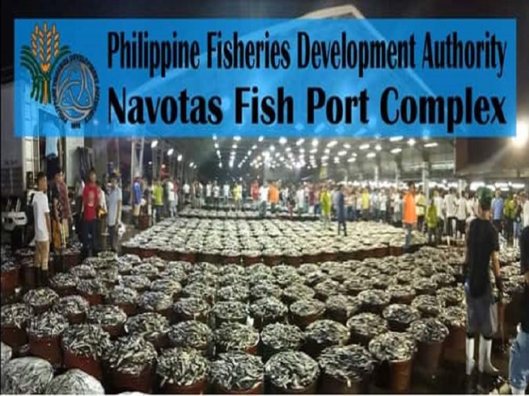 Mapanirang video laban sa Navotas Fish Port iniimbestigahan ng PFDA ...