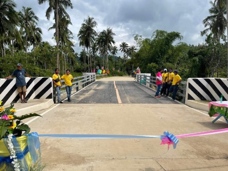 DPWH-DAR, nag-turnover ng limang bagong tulay sa Palawan | DZIQ Radyo ...