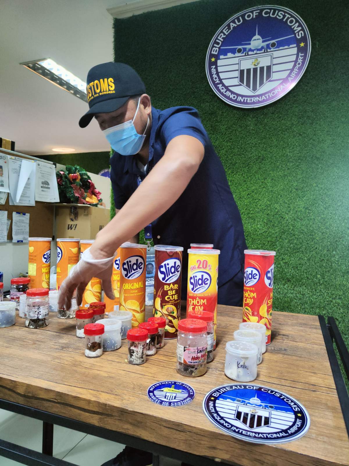 Mga gagamba na idineklarang pagkain nasabat ng Customs Bureau | DZIQ ...
